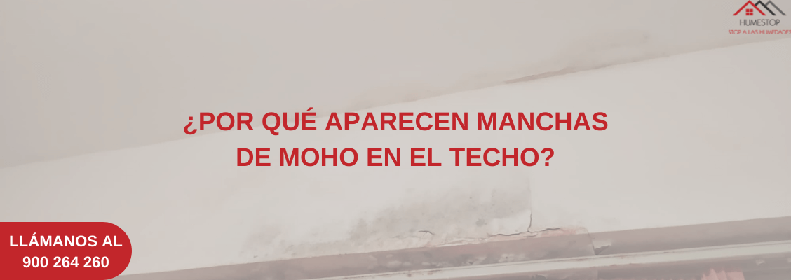 ¿Por qué aparecen manchas de moho en el techo? | HUMESTOP